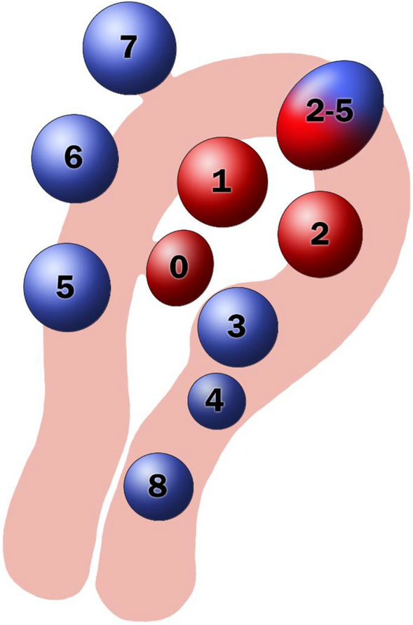 Ινομυώματα μήτρας | Γυναικολόγος - Μαιευτήρας Χειρουργός Βασίλειος ...